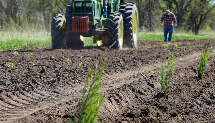 NRD welcomes conservation forester | Upper Big Blue Natural Resources ...